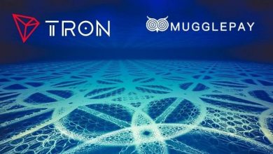 Bridge Oracle - The First Public Oracle System on TRON